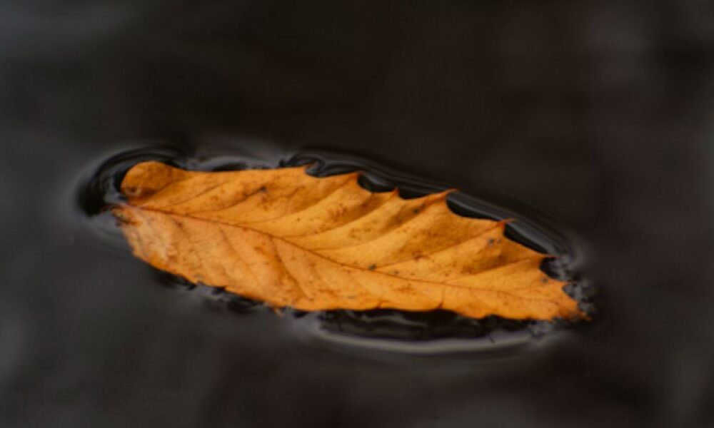 Floatation Therapy: 10 Amazing Benefits to Consider