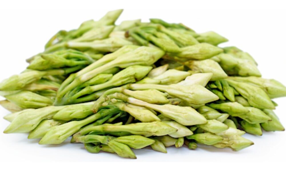 Loroco Benefits, Uses & Easy Recipes to Try