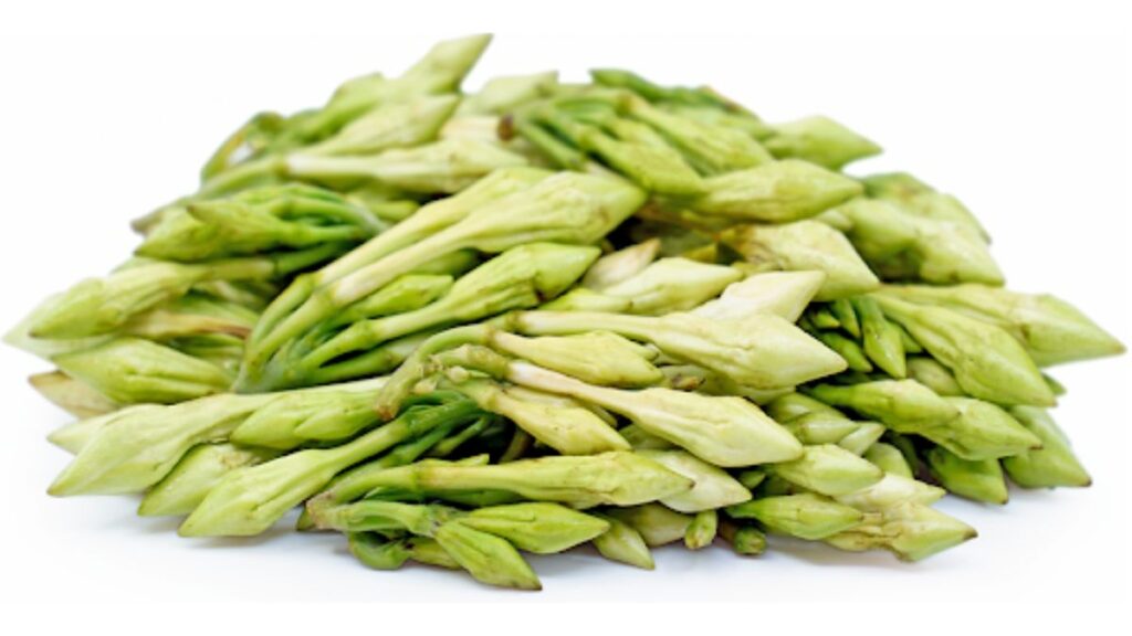 Loroco Benefits, Uses & Easy Recipes to Try