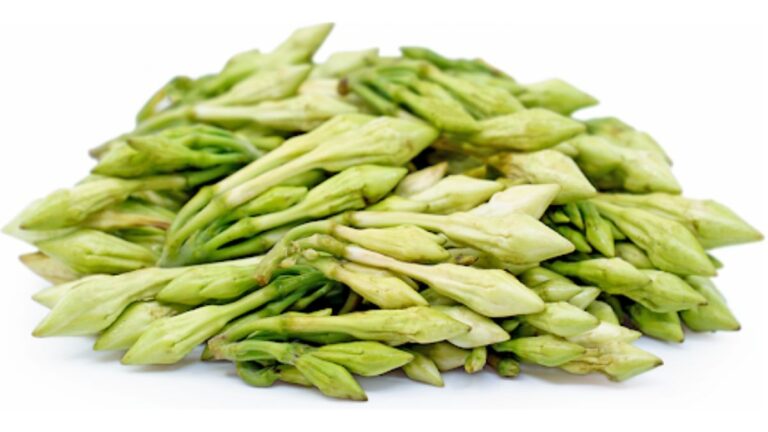 Loroco Benefits, Uses & Easy Recipes to Try