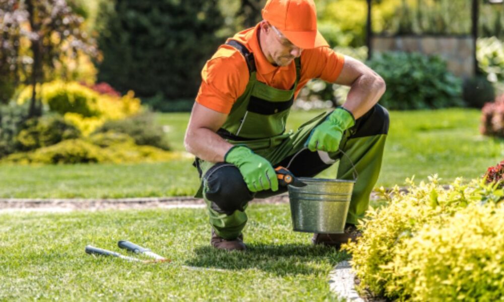 Top 5 Must-Watch Series on O2TVSeries Right Now