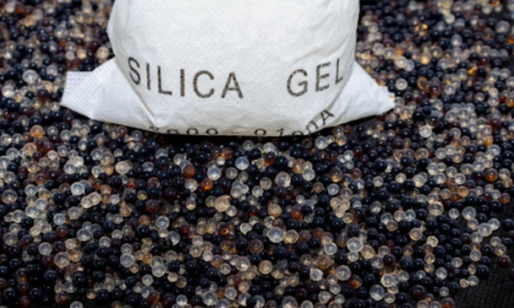 Exploring the World of TG Tube: A Comprehensive Guide